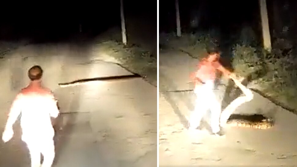 Dangerous Snake: suddenly man catch a huge snake on the road shocking video viral | Dangerous ...