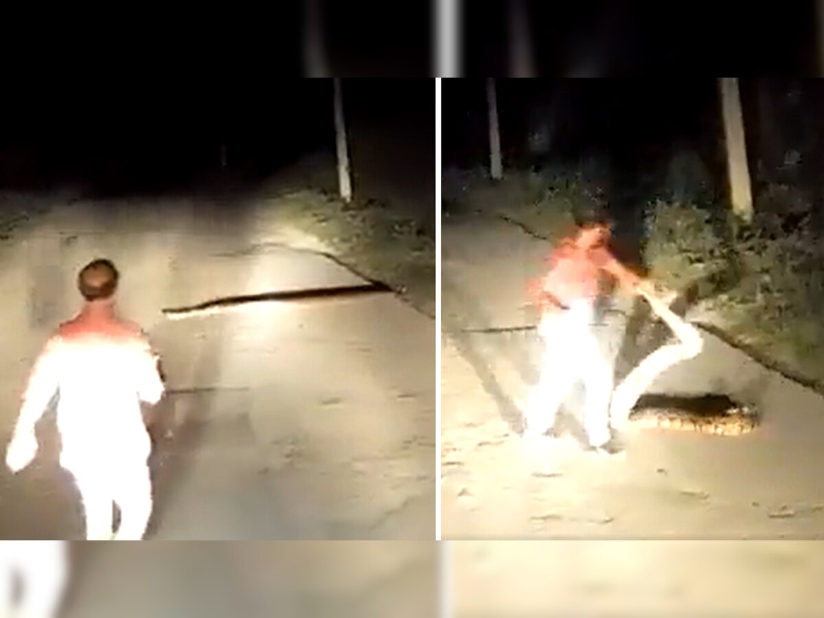 Dangerous Snake: suddenly man catch a huge snake on the road shocking ...