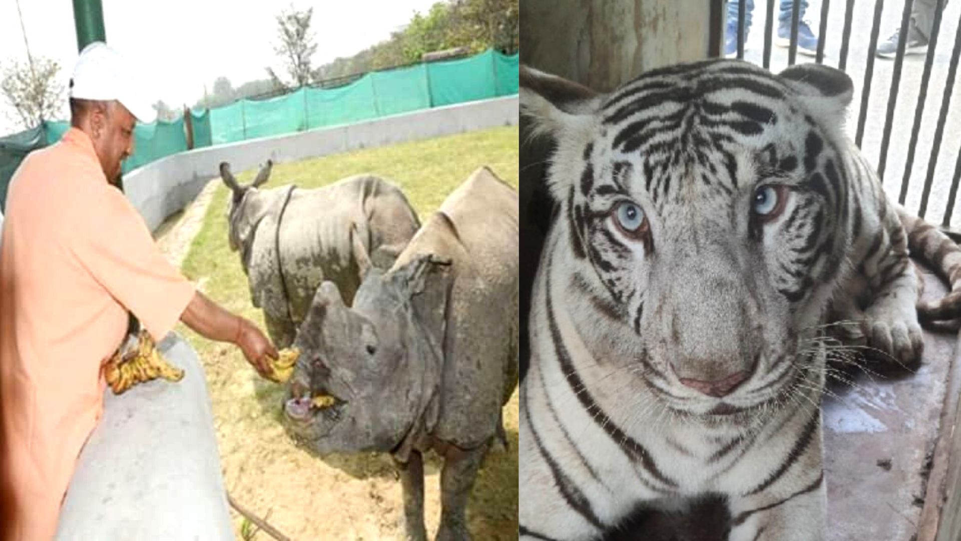 National Wildlife Week 2022 Gorakhpur Zoo Wildlife Week Shaheed ...