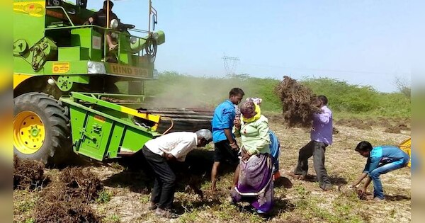 Kota Sangod Soybean prices falling continuously after the weather ...