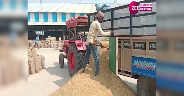 haryana kurukshetra anaj mandi got jammed haryana farmer grain market ...