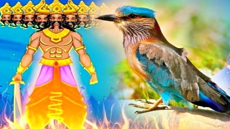 Dussehra 2022: दशहरे पर नीलकंठ के दर्शन होते ही पढ़ लें ये एक मंत्र, घर ...