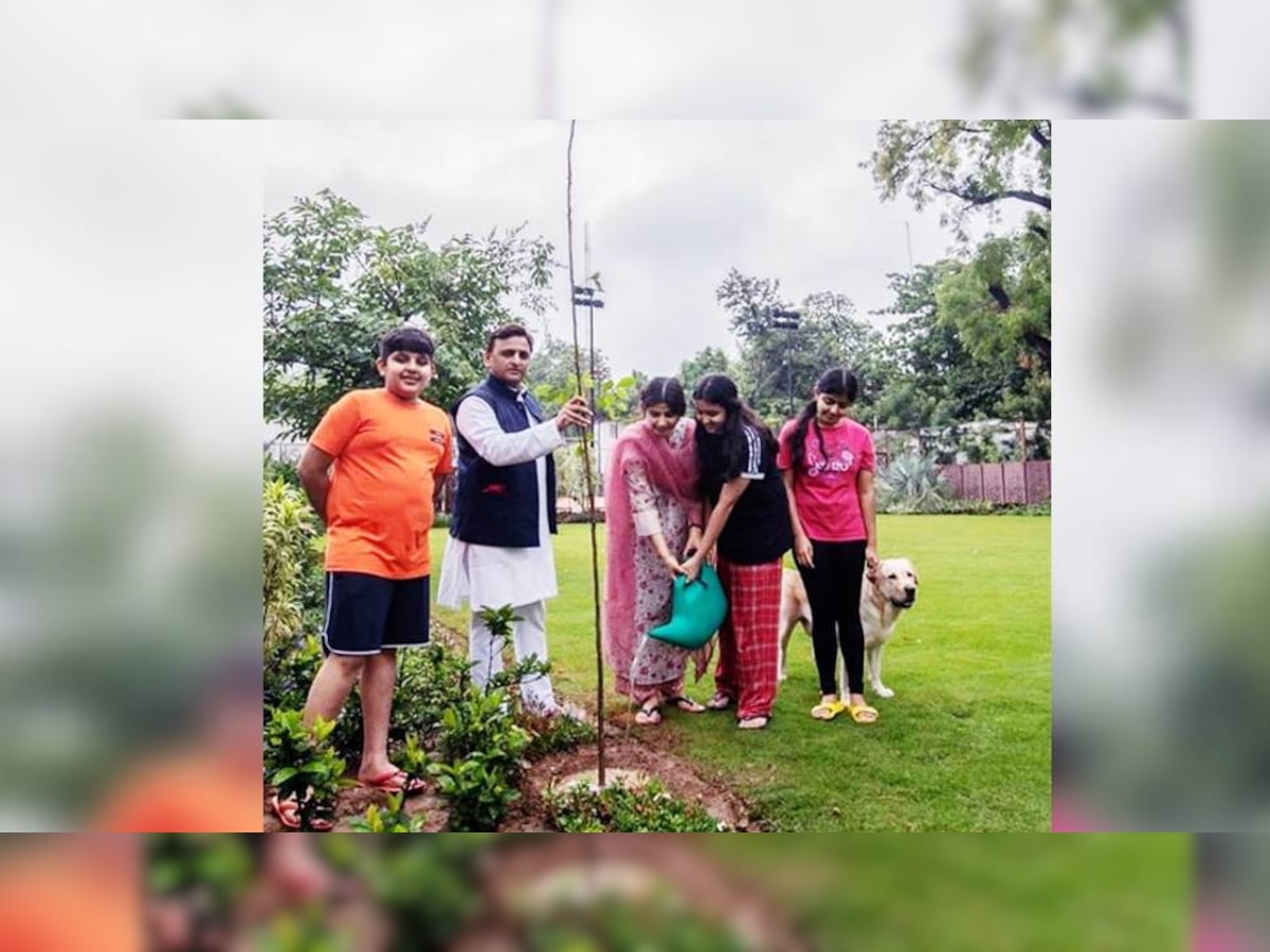 Mulayam Singh Yadav Family Tree Mulayam Singh Yadav family member ...