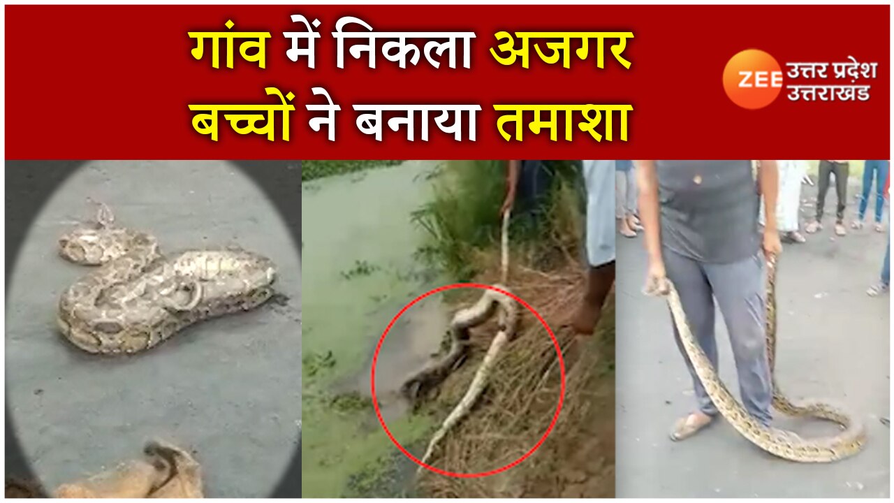 Bulandshahar ajgar viral video children seen playing with python ajgar ...