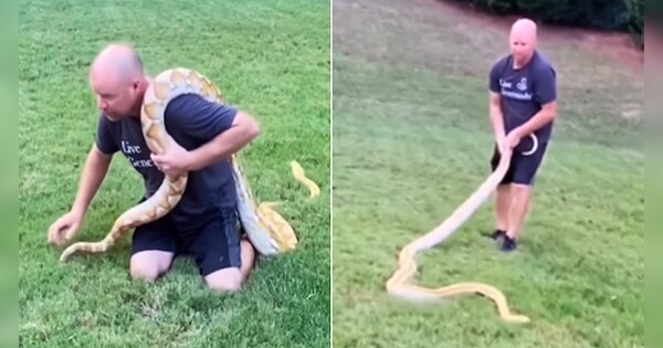 python snake man playing game with dangerous snake small mistake and ...