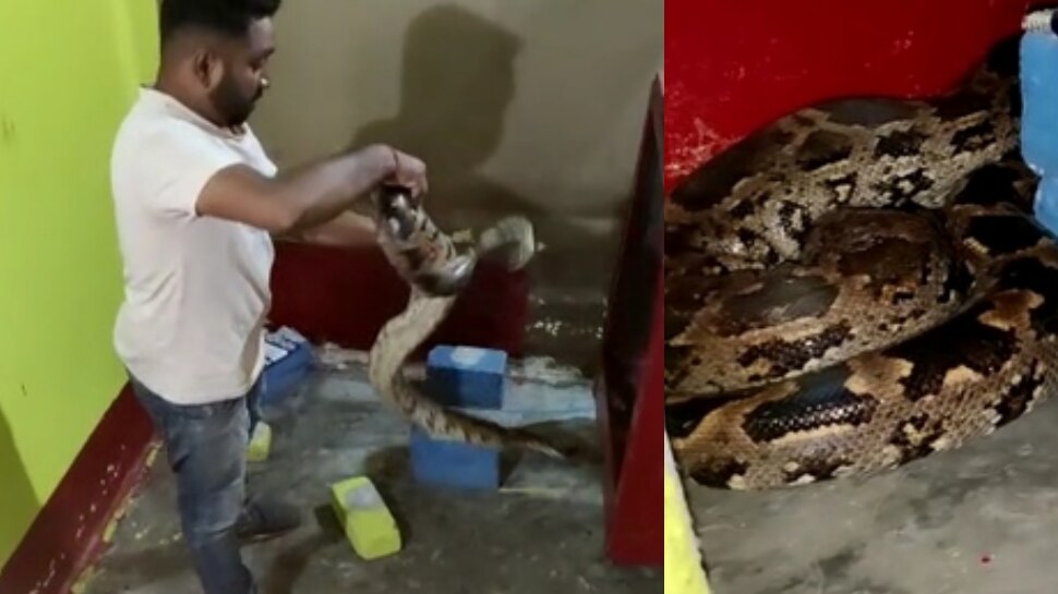 Python Lurking Under Fridge Overnight in korba ghar me ghusa ajagar Watch Rescue Video sdmp ...