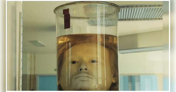 Portugal Serial Killer Diogo Alves head in museum from last 181 years ...