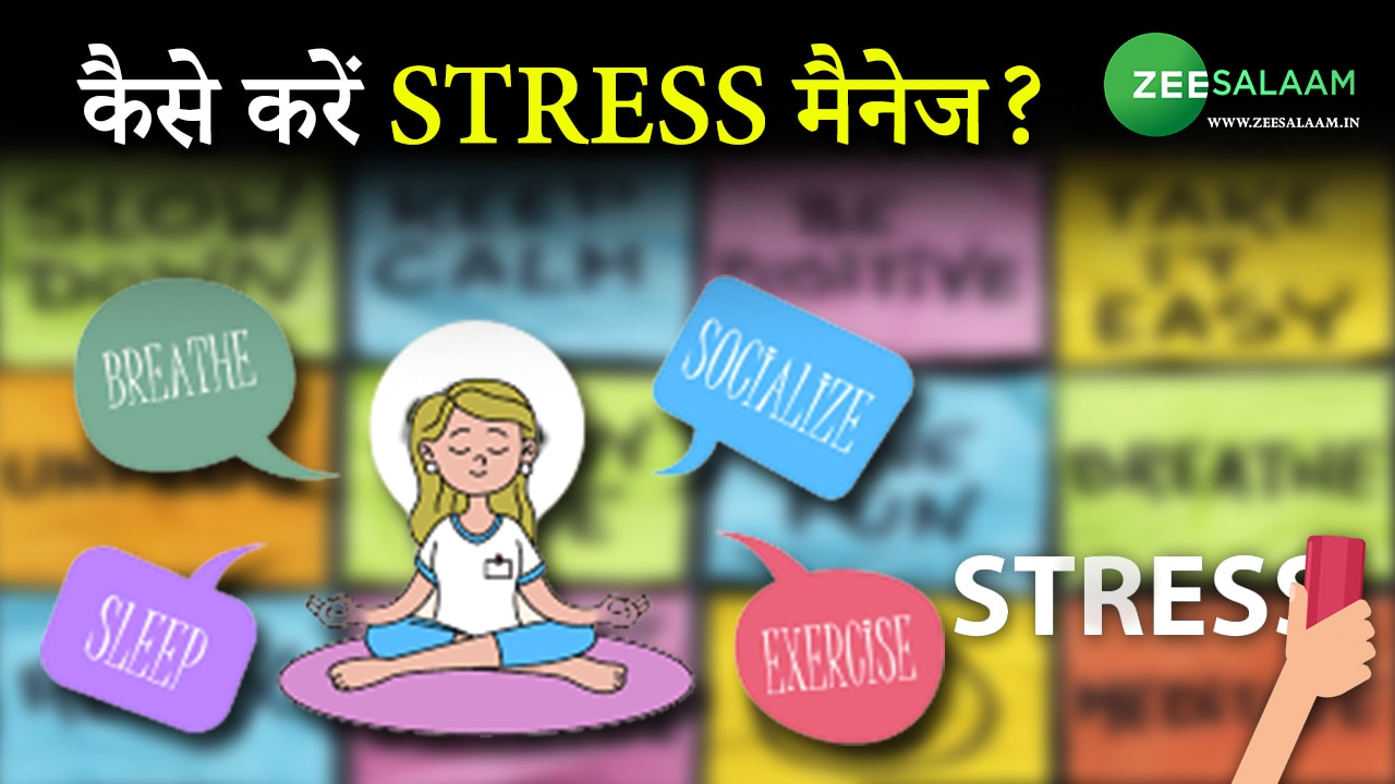 How To Manage Stress See How Animals Can Help To Manage Stress rszs