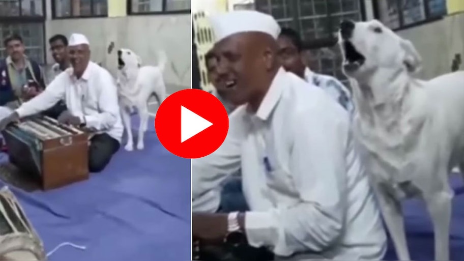trending video dog singing song in sweet voice with bhajan mandali ...