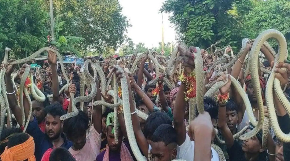 nagpanchami in bihar state snake fair popular mela wishes fulfilled ...