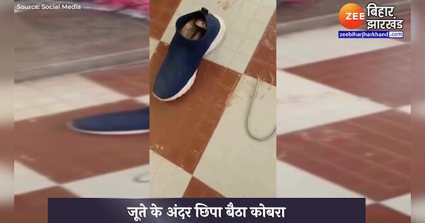 Cobra sitting in shoes watch this shocking viral video | जूते में छिपे ...