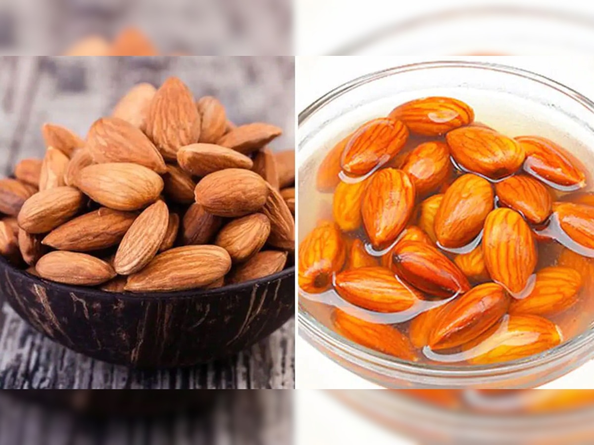 Best Dry Fruits For Brain Health Sharp Minds Almonds Almonds Hazelnuts ...