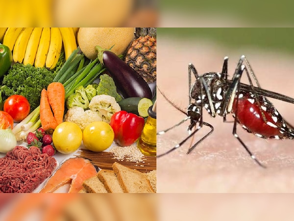 include these food in diet in malaria to recover fast nsmp | अगर हो गया ...