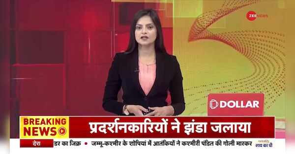 Gorakhpur: Gallant Group's cement factory in Purvanchal, employment ...