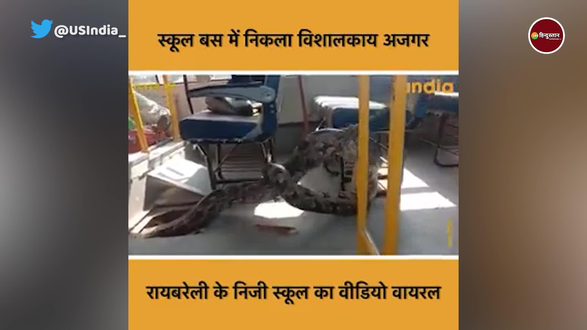 big python snake seen in school bus watch how people took snake out ...