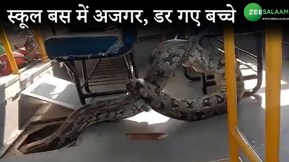 Snake video goes viral on internet snake in raebareli smzs | Video ...