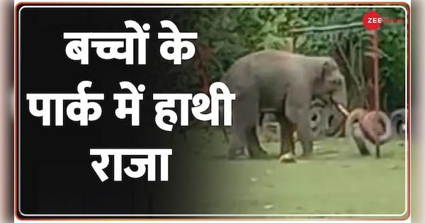 Viral Video: The wild elephant entered a children's park | Viral Video: बच्चों के पार्क में घुसा ...