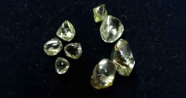 diamond auction held in Panna before Diwali all eyes on 11 carat ...