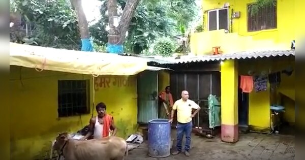 Gauthan made at home for destitute cows CM Bhupesh Baghel also praised ...