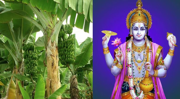 budh grah ast gochar Kartik Dashami thursday evening remedy will make ...