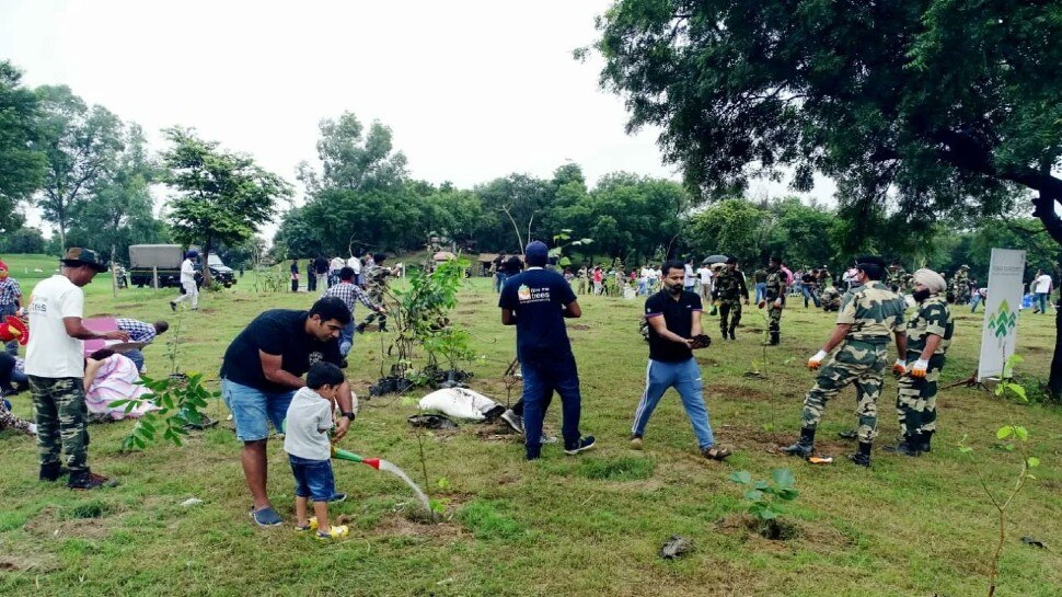 peepal baba Give Me Trees Trust with BSF developing green belt in ...