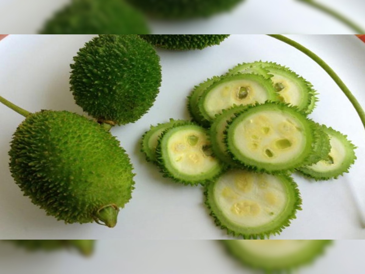 Kantola Health Benefits Spiny Gourd vegetable in Hindi Diabetes Weight ...