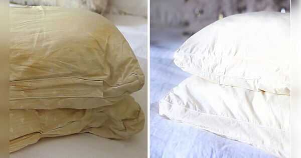 Pillow Cleaning Tips: How to clean Pillow at home without washing ...