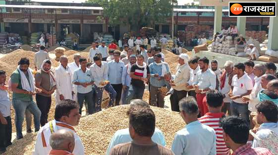 Bagru agricultural produce returned to the market heaps of groundnuts ...