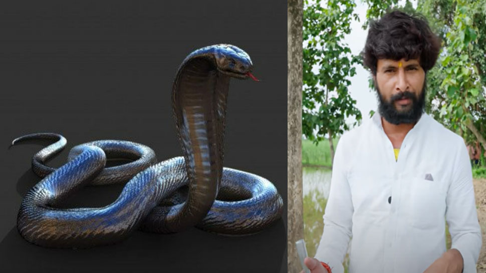 man in front of poisonous snake rescue in danger snake in well video ...