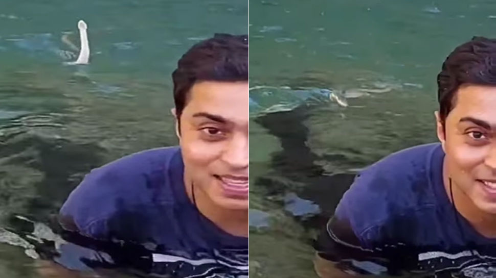 snake in water just behind man shocking video goes viral over social ...
