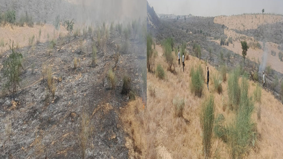 Fierce fire broke out on the border between Indo-Pak match, fire ...