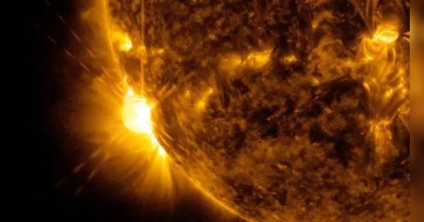 sunlight stops coming to earth what will be the effect on living beings ...