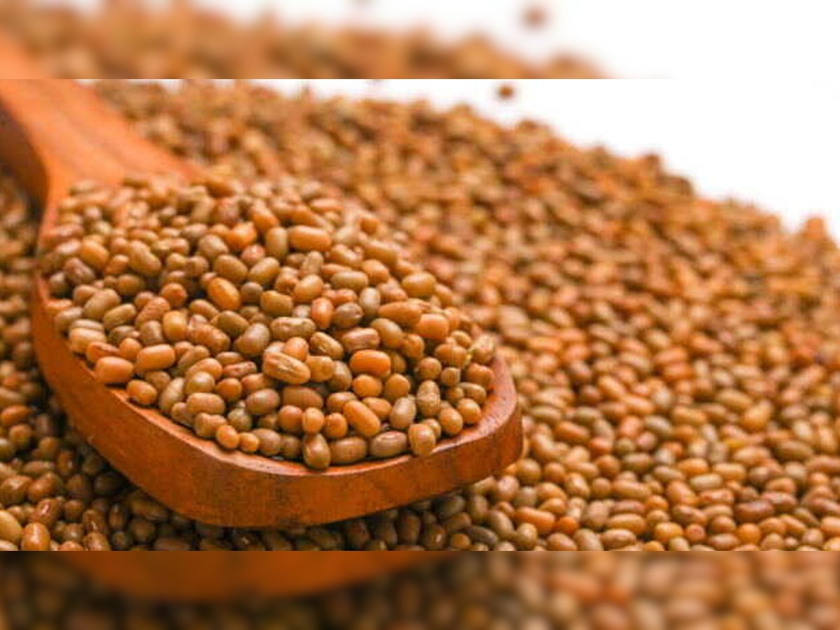Best Daal Lentils For High Cholesterol Masoor Moong Vigna mungo Urad ...