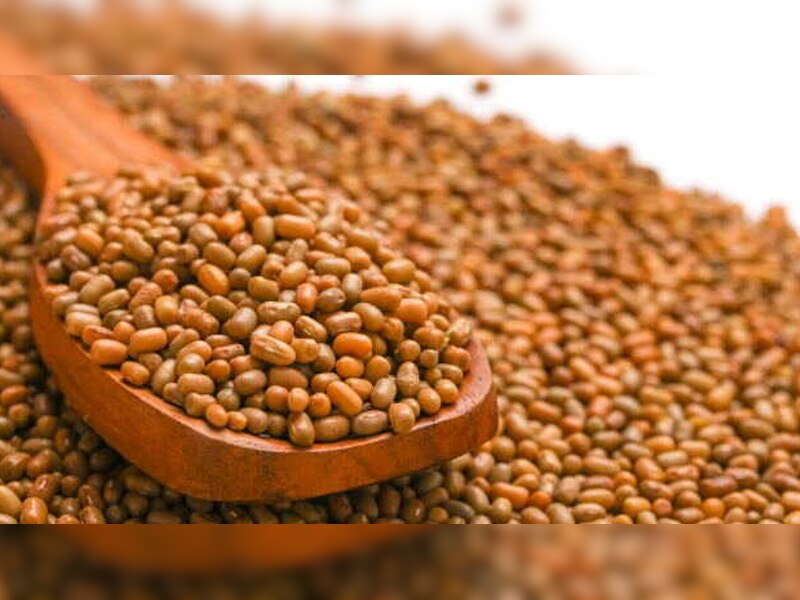 Best Daal Lentils For High Cholesterol Masoor Moong Vigna mungo Urad ...