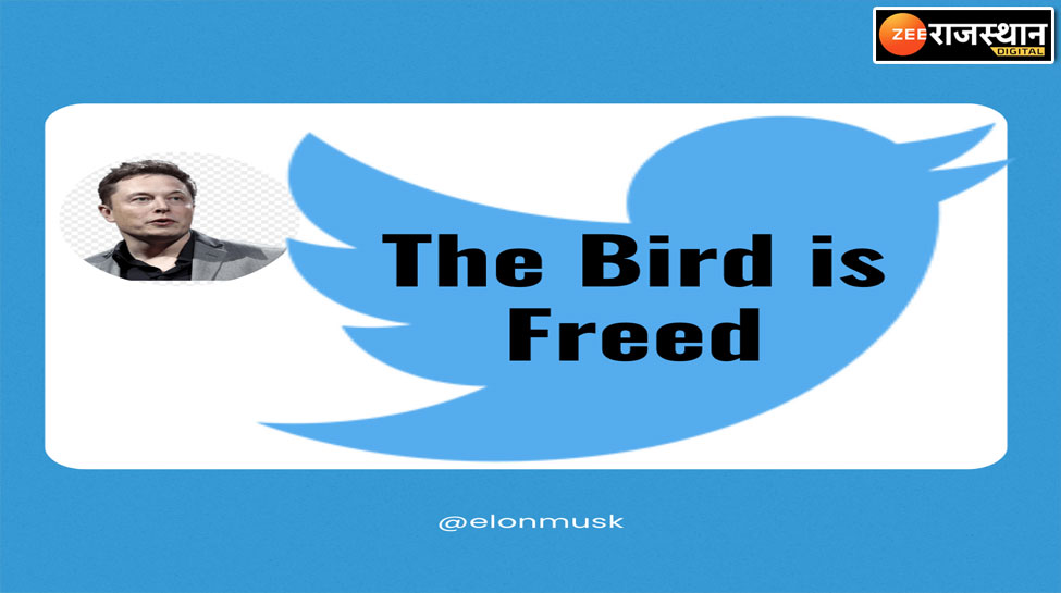 elon Musk new boss of twitter and says birds is freed after his tweet ...