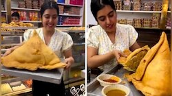fan of samosa की ताज़ा खबरे हिन्दी में | ब्रेकिंग और लेटेस्ट न्यूज़ in ...