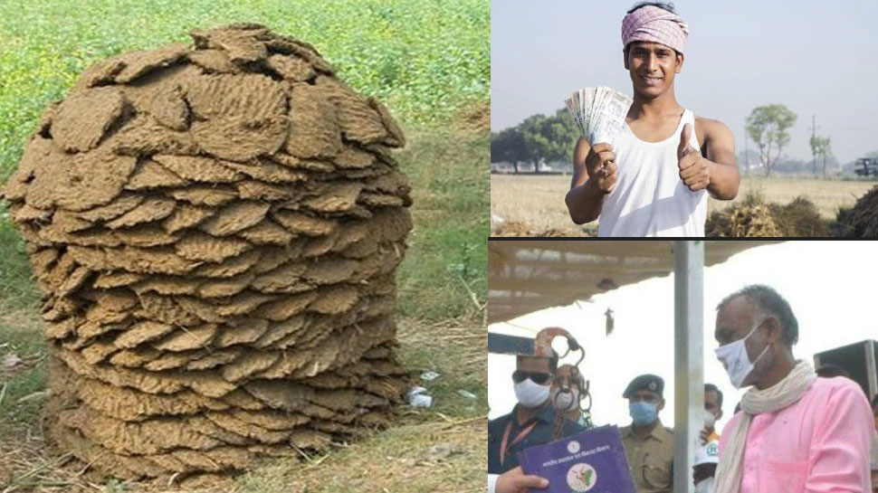 chhattisgarh Gobar Godhan nyay yojana beneficiaries gets 175 crore ...