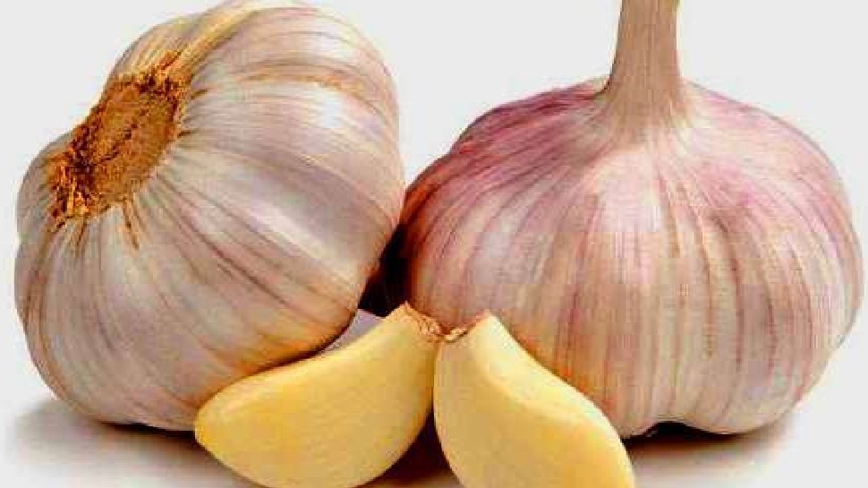 four varieties of garlic know which is best for cooking nsmp | लहसुन की ...
