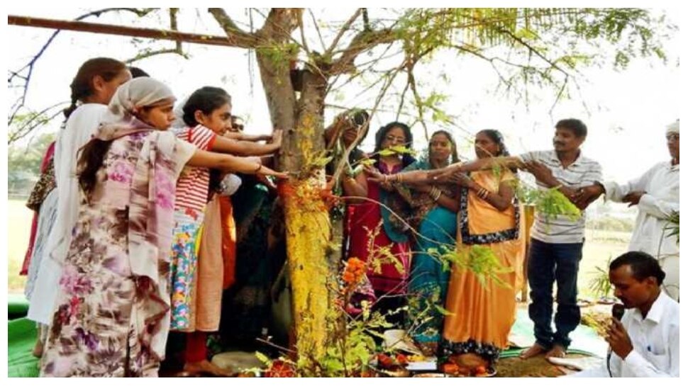 Amla Navami 2022 Vastu Tips for prosperity Akshay Navami | Akshay ...