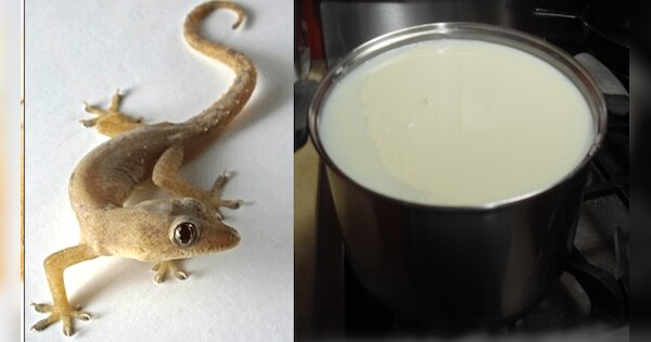 fatehpur Condition of 14 including six children worsens after seeing ...