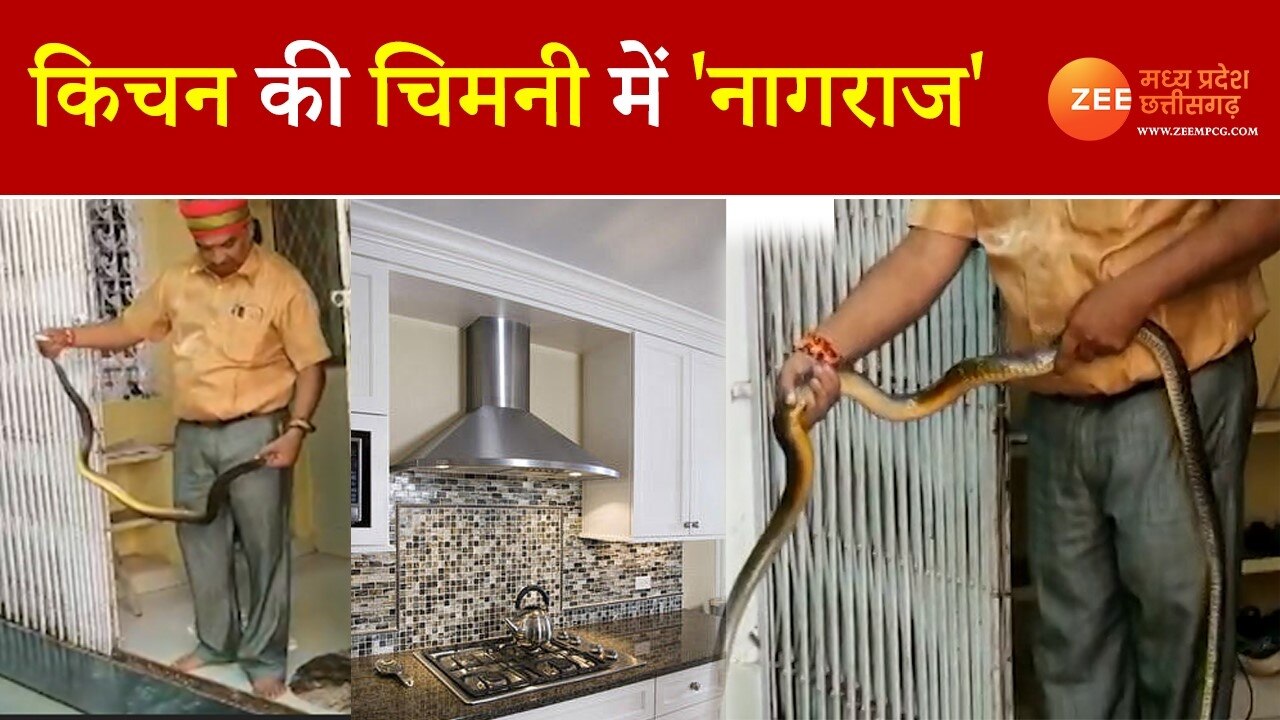 Nagaraj Rat snake entered in kitchen chimney Dhaman species ghoda ...