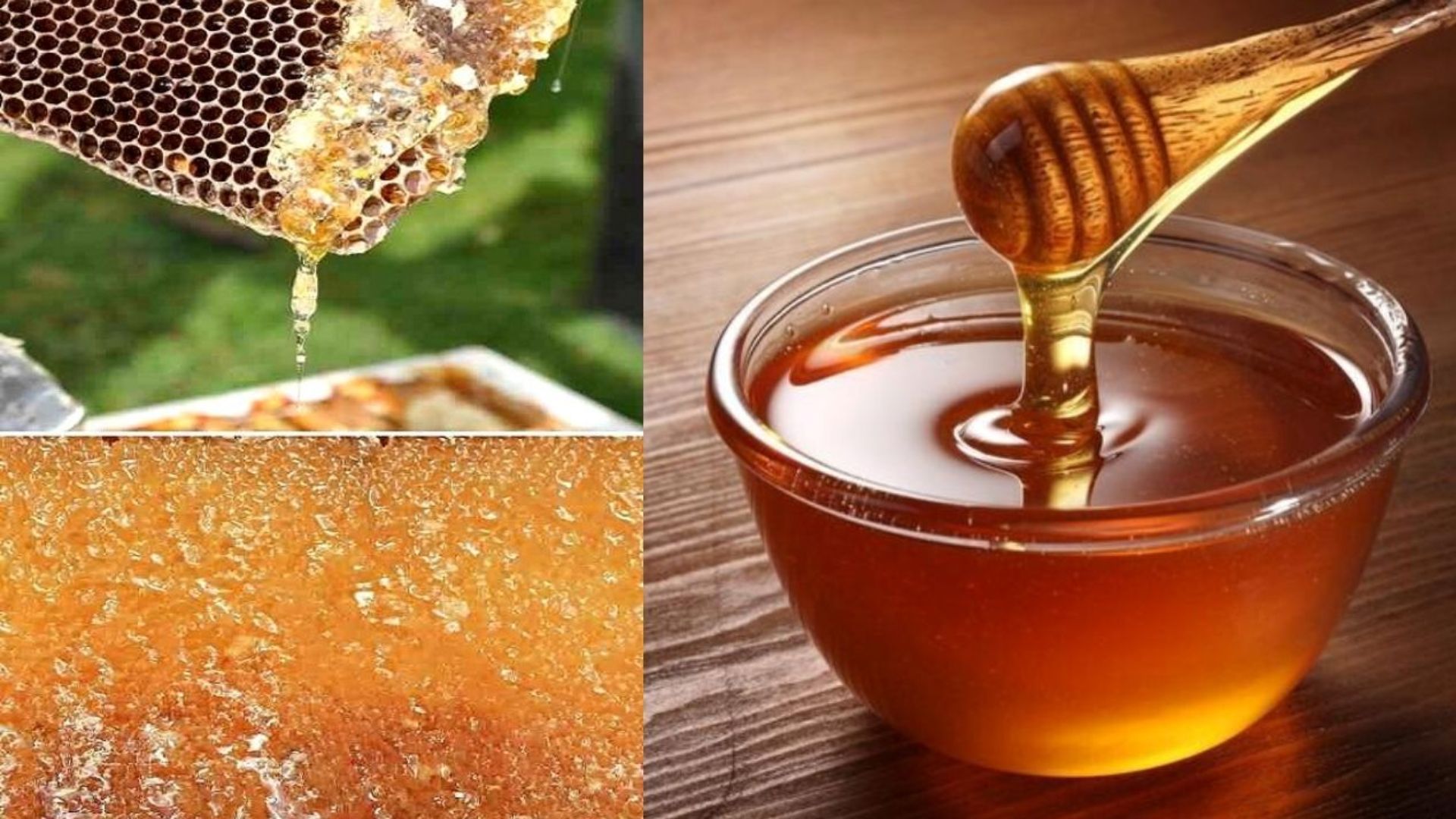 Identify real and fake honey at home How To Check If Your Honey Is Pure ...