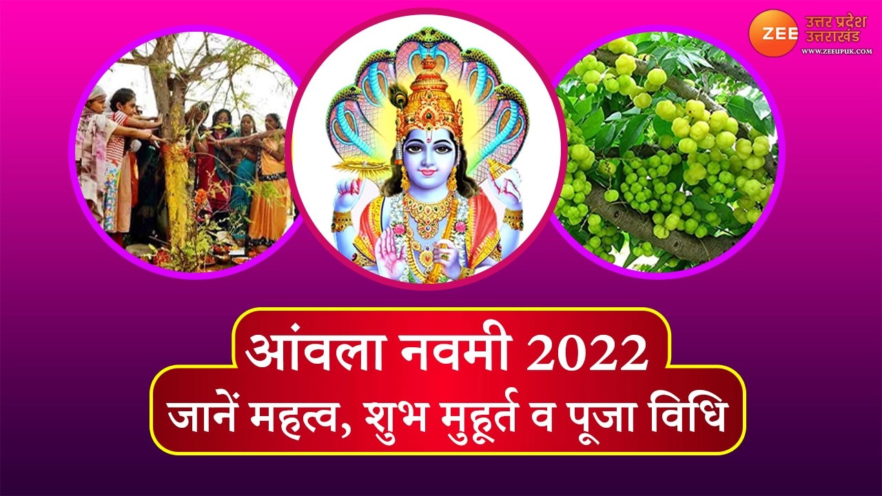 Amla navmi 2022 know Akshay navmi date time significance Puja Vidhi and ...