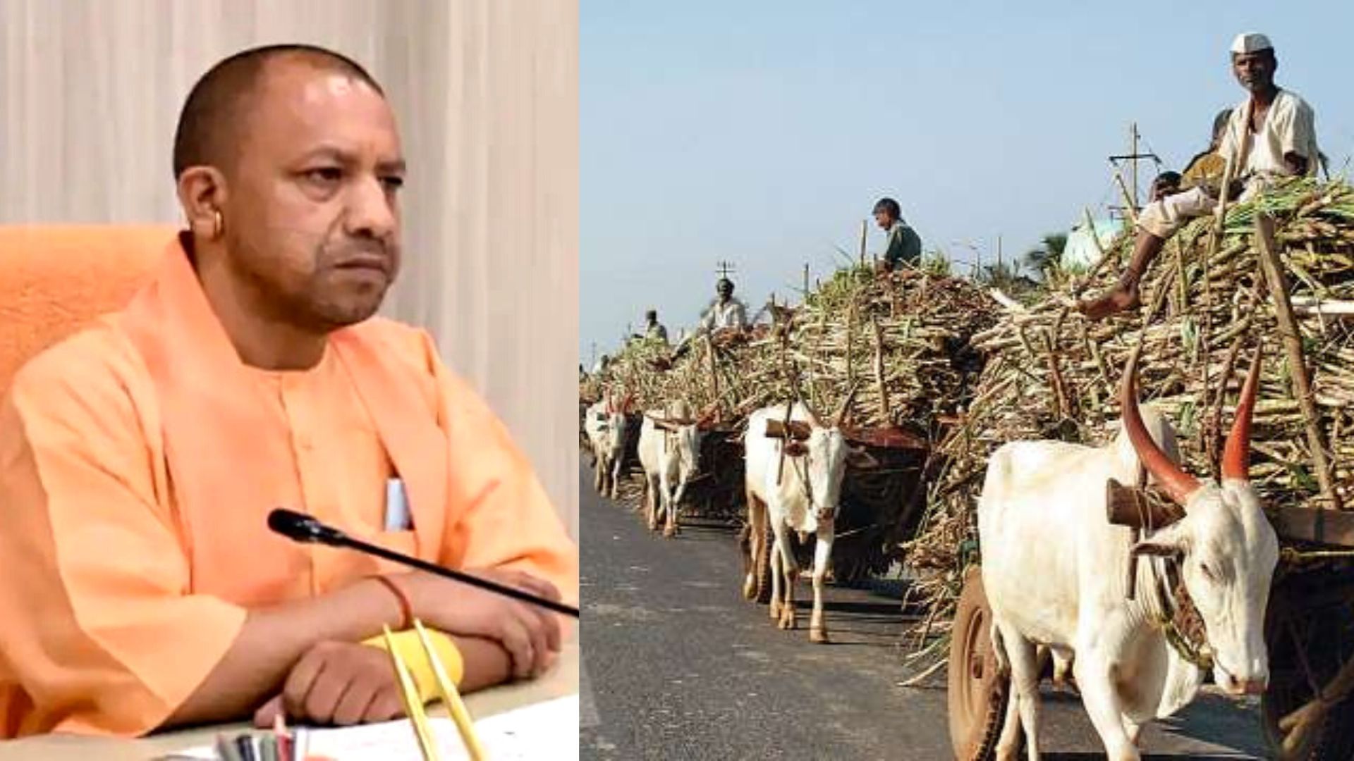 Sugarcane farmers Shamli three sugar mills 402 crore dues spite CM yogi ...