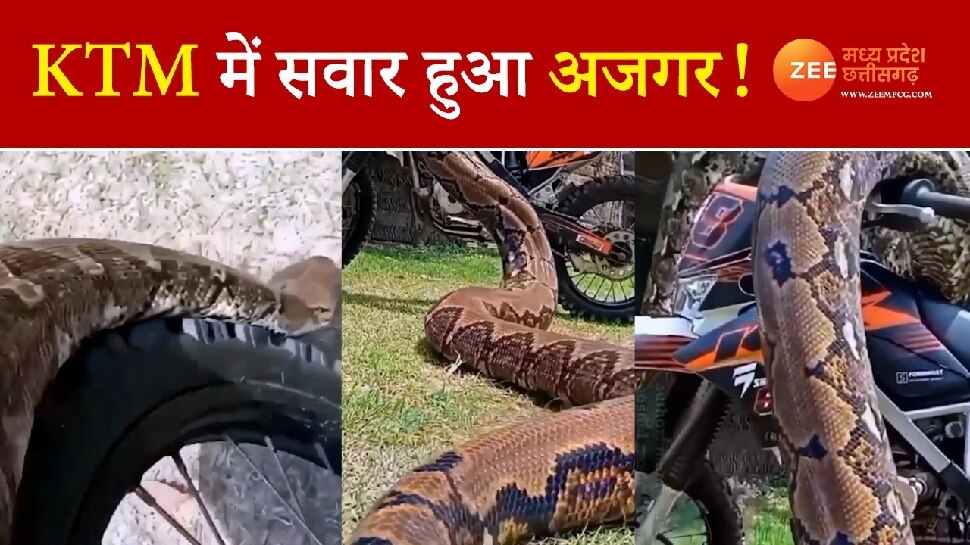 python tries to ride ktm bike gadi par ajgar sanp ka video snake sdmp ...