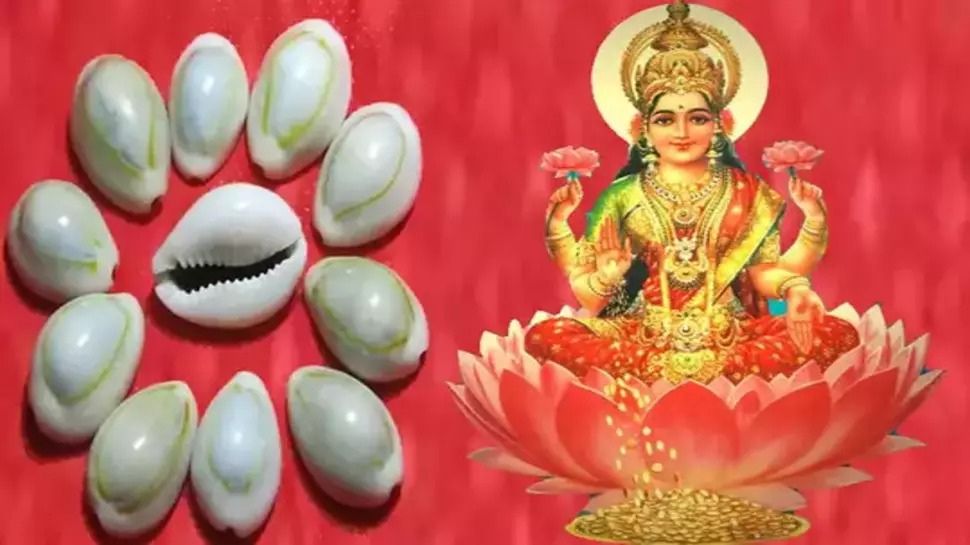 Importance of shells kaudi to bring positivity and wealth in life vastu ...