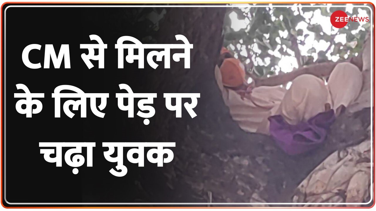 UP News: Youth climbed on tree with noose around his neck, demand to meet CM | UP News: गले में ...