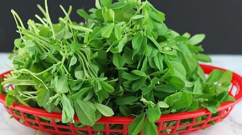 methi leaves benefits in winter season for good health green fenugreek ...