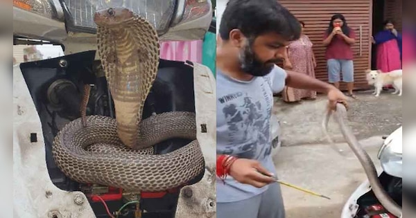 cobra was hiding inside the scooty only with the help of a screwdriver ...