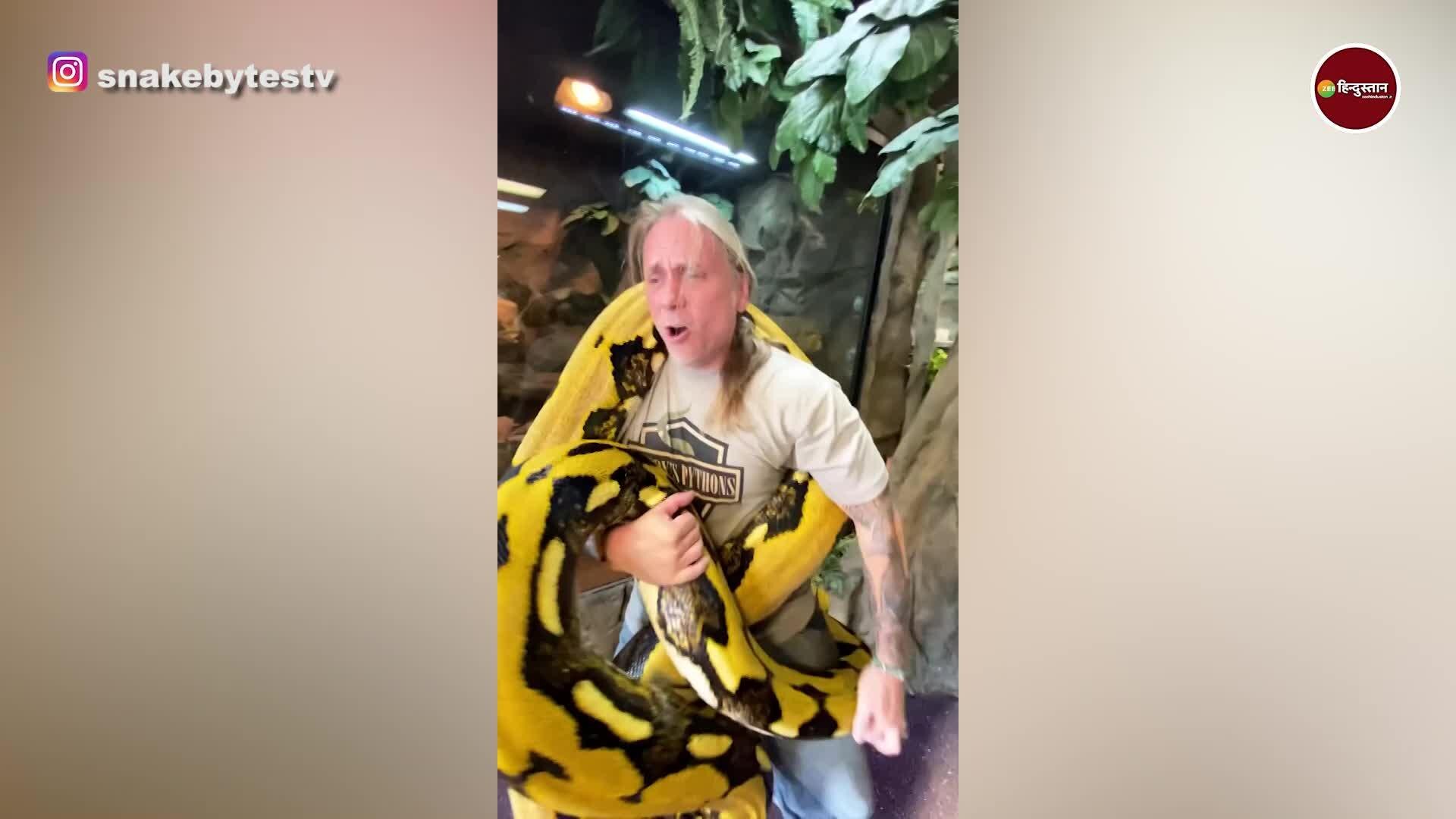 shocking viral video of man holding 20 feet long python in hand | 20 ...